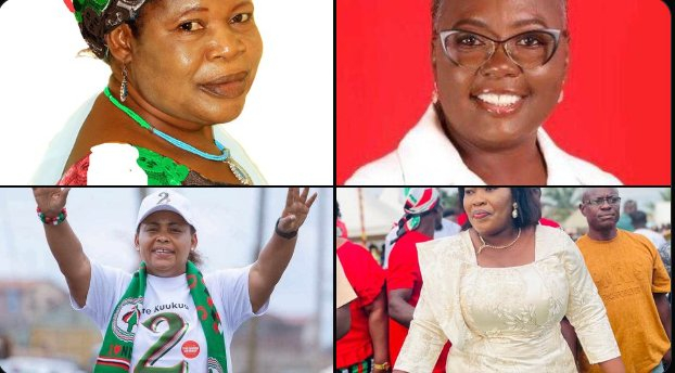 Here are the 32 female NDC MPs elected into Ghana's 9th Parliament:
