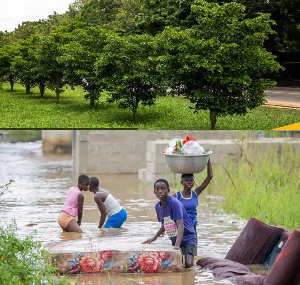 NEO ReportGH Advocates Tree Nurturing and Responsible Waste Disposal to ...