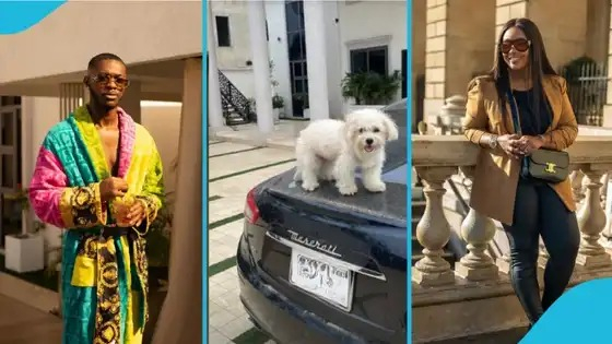 Damien, Jackie Appiah's son, displays an adorable dog and a luxury ...