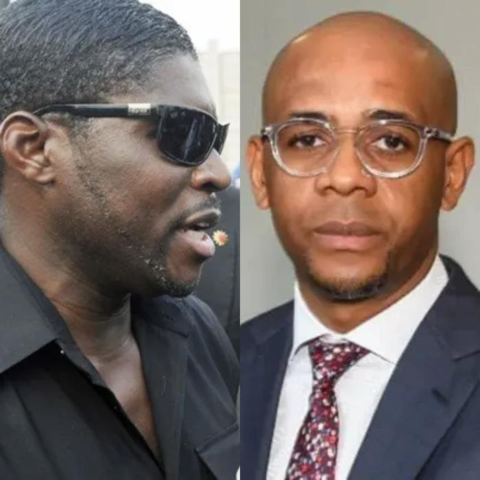 According to the report, Baltasar Engonga's cousin planned his arrest ...