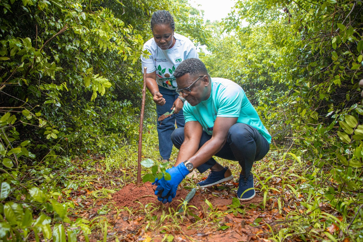 Prudential Bank staff plant trees to support tree for life restoration ...