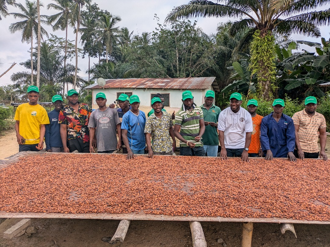 Demeter Ghana Limited engages farmers across three regions to ...