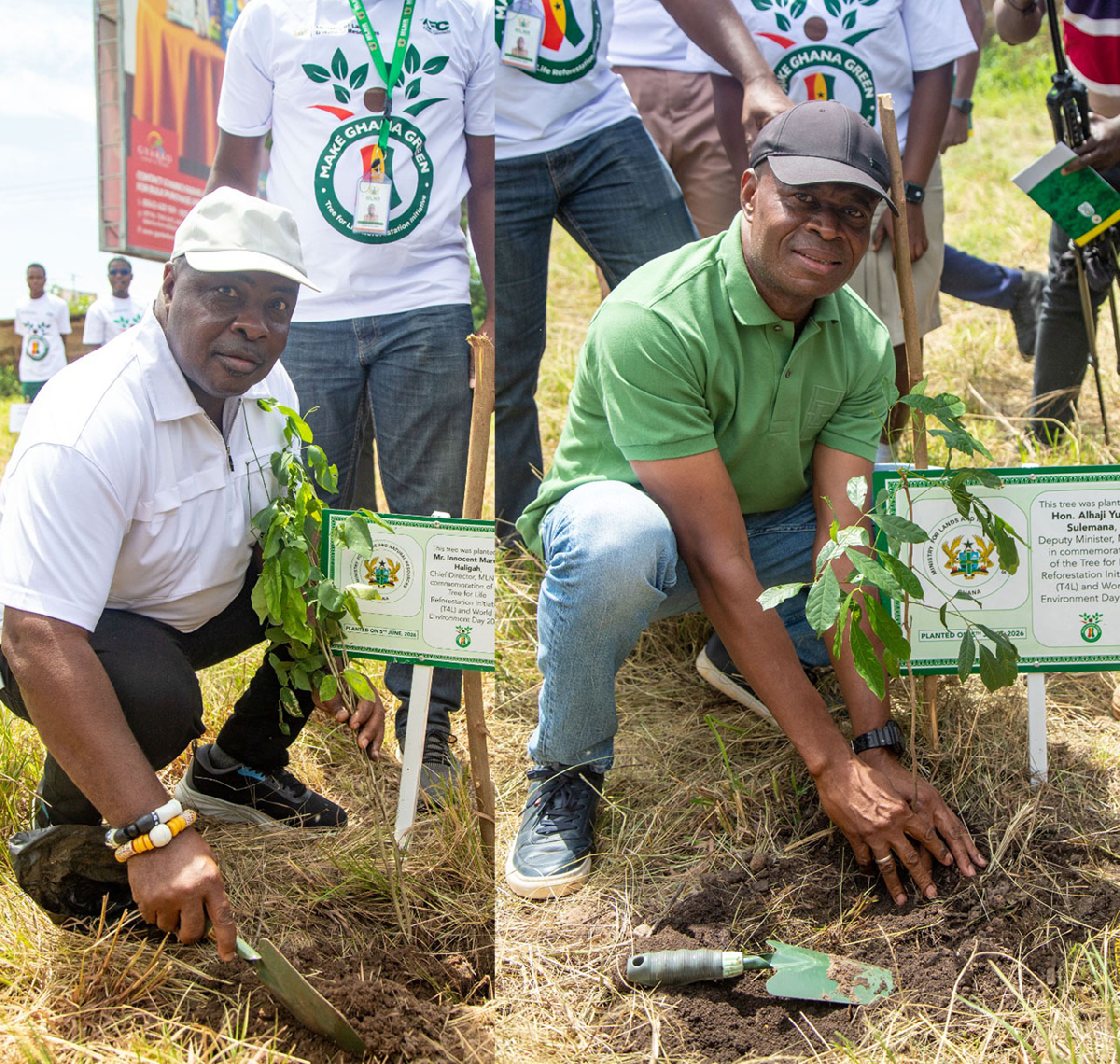 Ghana Sets New Tree Planting Target as Calls Grow for Action Beyond ...