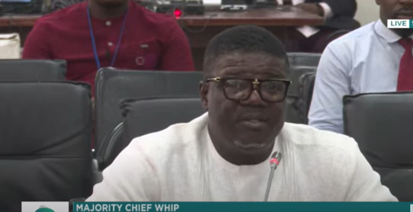 I take responsibility for vetting chaos - Majority Chief Whip