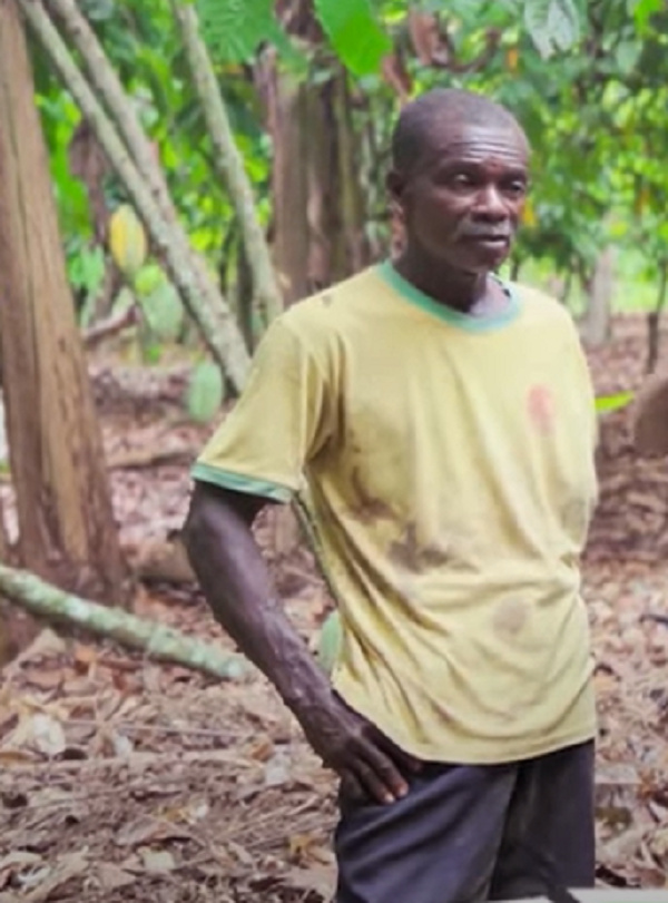 Meet Akwasi Agyeman, the farmer with one arm cultivting 3 acres of ...