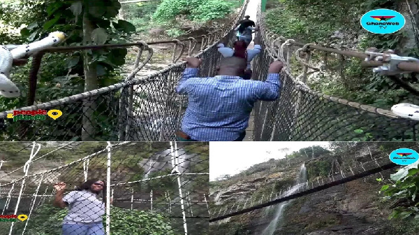 People & Places: Amazing discoveries on Ghana’s only canopy walkway ...