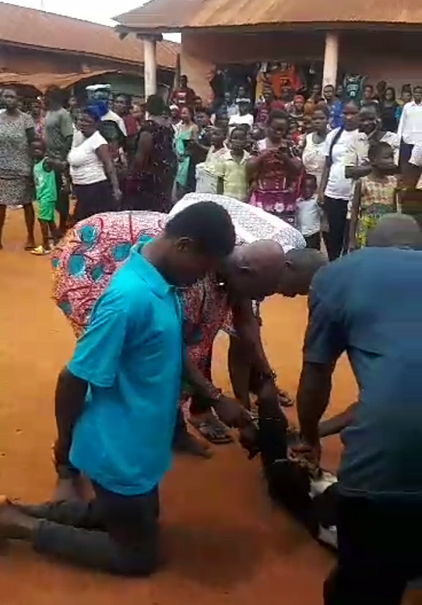 Dormaa Central chiefs slaughter sheep on feet of alleged gay to pacify gods