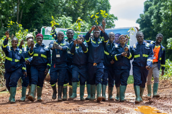 Asante Gold to reforest 800 hectares of degraded Tano-Suraw Forest land