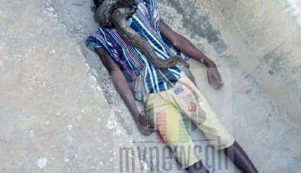 Video | ‘Money Ritual Snake’ strangles Sakawa boy to death at Damongo