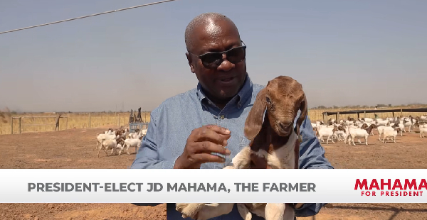 Watch as President-elect Mahama spends week harvesting crops on his ...
