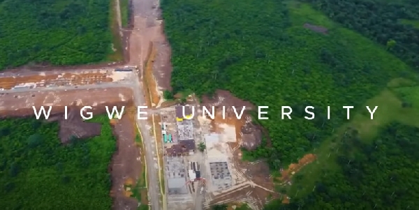 Video of the university for vulnerable children Herbert Wigwe was ...