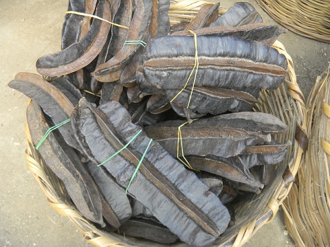 'Prekese' tipped as potent fruit for curing hypertension